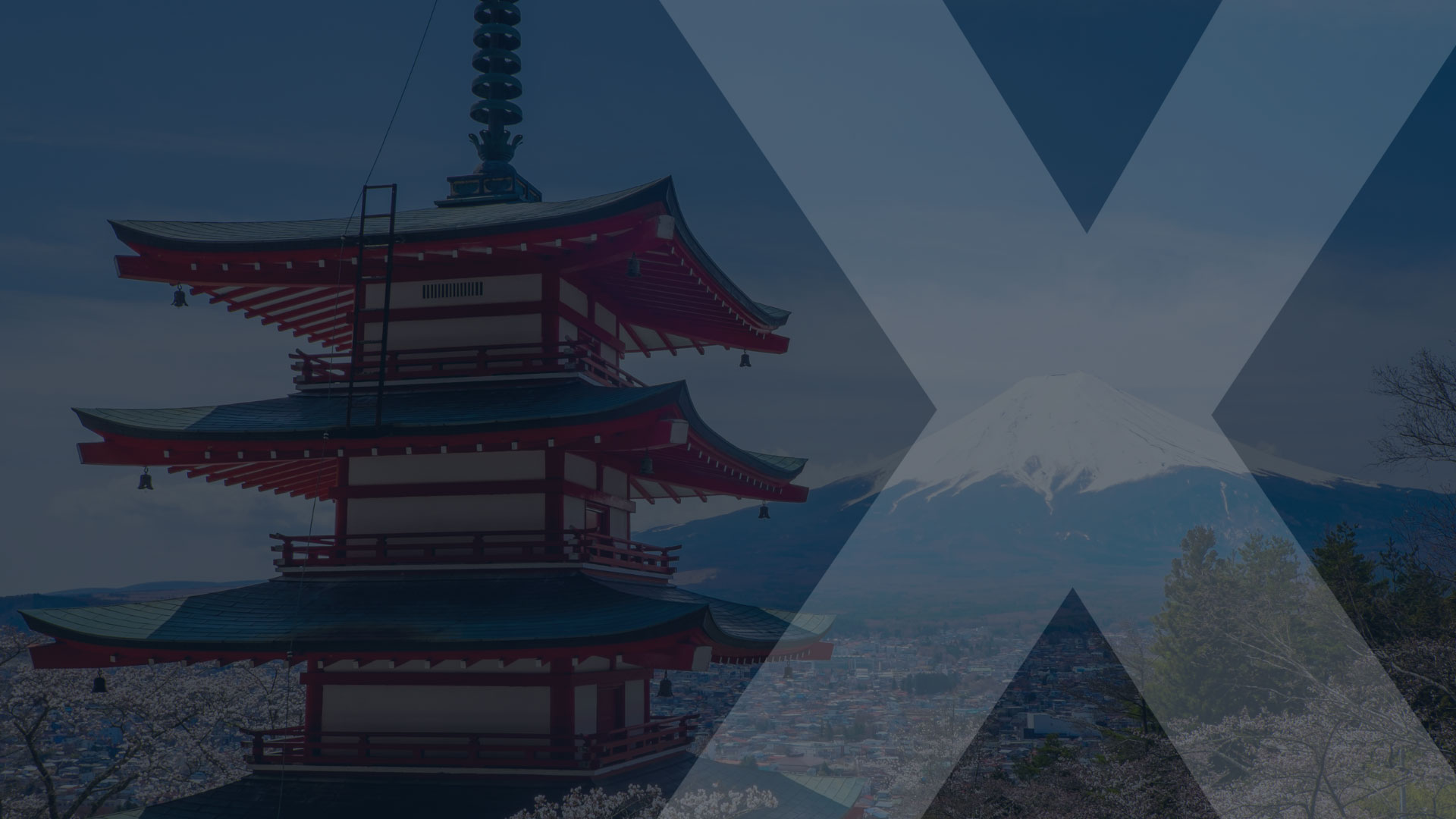 Exports and Imports in Japan | TecEx