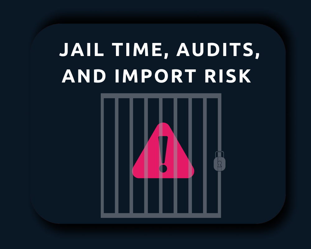 Jail Time, Audits, and Import Risk: What It Means to Import in Your Own ...